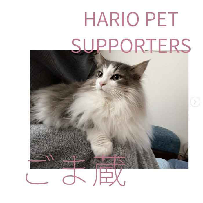 HARIO PET | ハリオのペット食器やグッズをご紹介